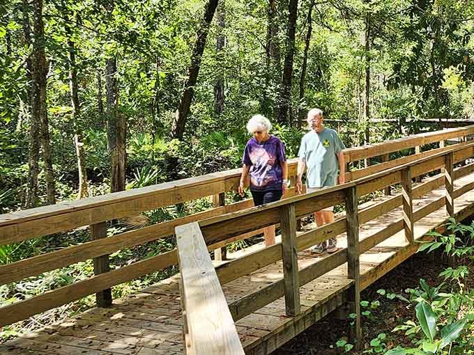 The wooden footbridge crosses the creek where the forest feels like it's been keeping secrets for centuries.