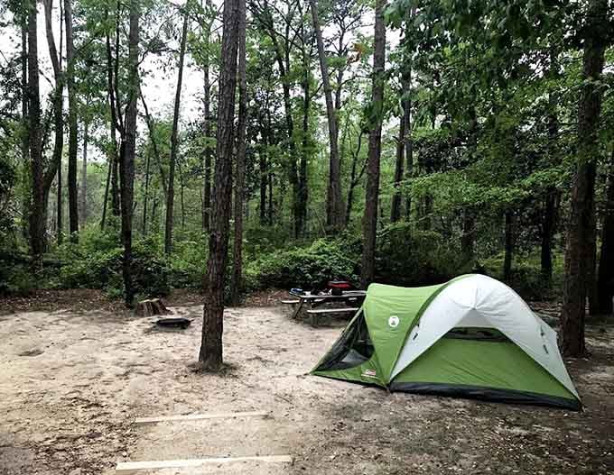 Camping among the pines where your biggest concern is s'mores perfection, not finding available electrical outlets for devices.