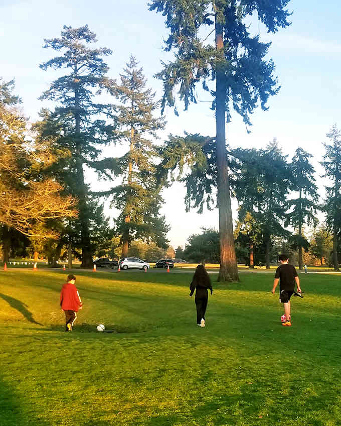 Golden hour at the park turns a simple soccer game into something that belongs on a greeting card.