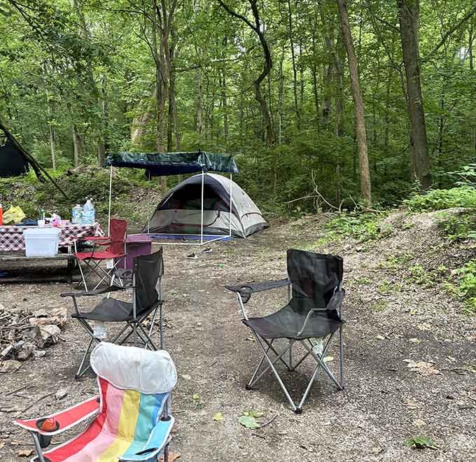 Your campsite awaits in the woods, where nature provides the entertainment and your phone finally gets a break.