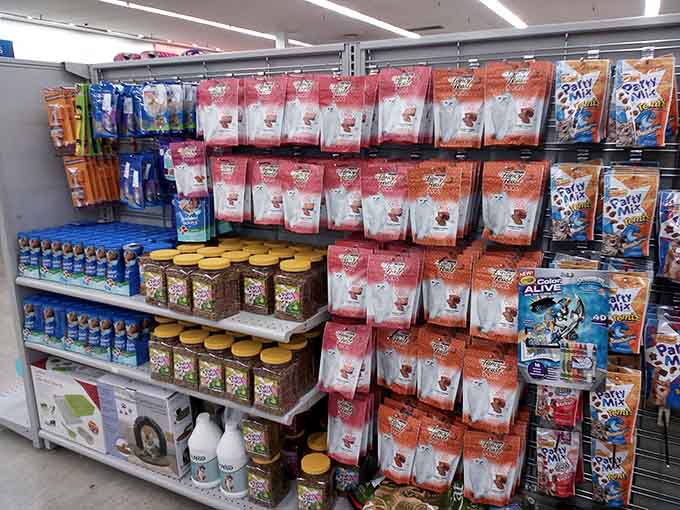 Even Fido and Fluffy deserve the good life, and these pet supplies deliver without draining your wallet.