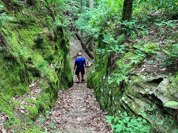 Wandering between moss-covered stone walls feels like exploring a natural cathedral built millions of years ago.
