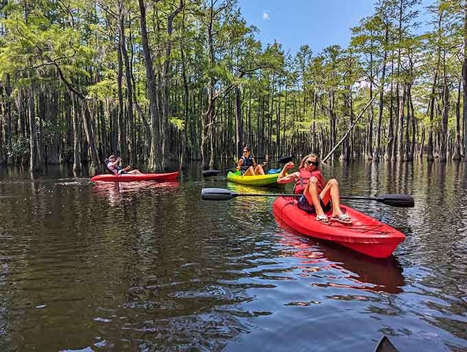 Paddling through liquid glass surrounded by trees that have been standing longer than most of our favorite TV shows.