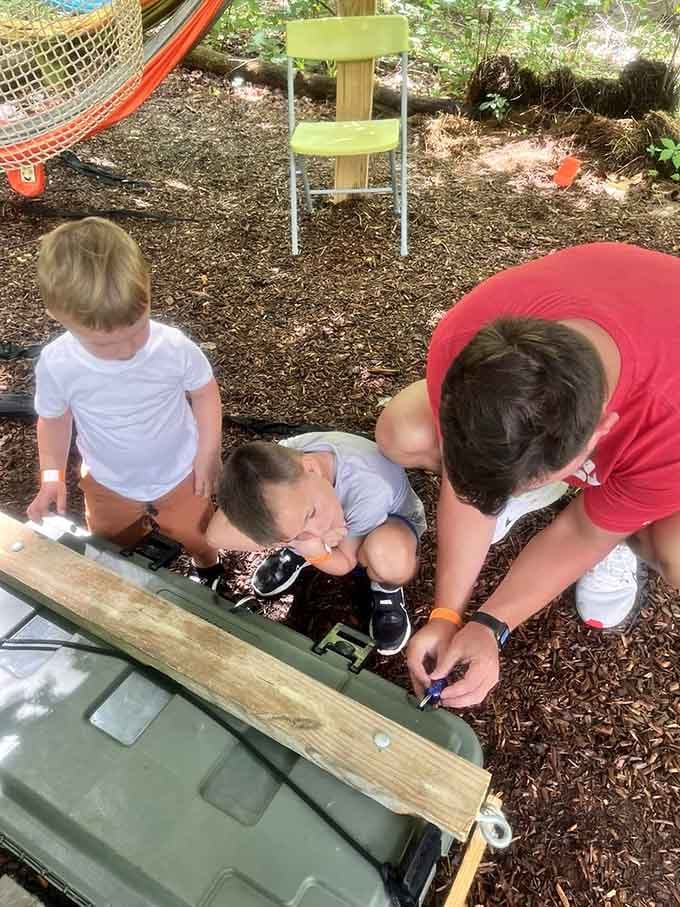 Young adventurers master harness systems with the kind of concentration usually reserved for video game bosses.