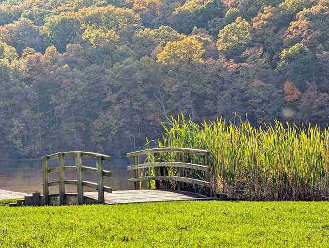 This charming footbridge leads to quiet corners where the only traffic jam involves ducks arguing over prime swimming spots.