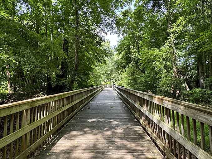 This greenway bridge disappears into nature, offering an escape route from modern life's constant noise.