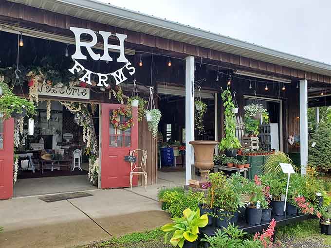 RH Farms welcomes visitors with hanging baskets and local charm that big box stores will never understand.
