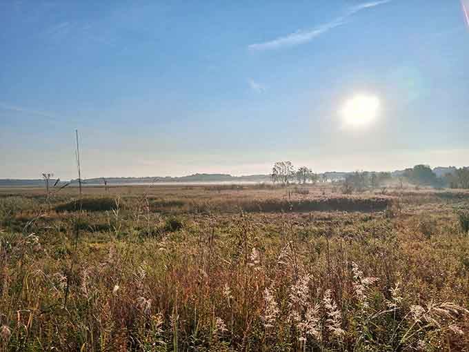 Morning mist rising over the marshland creates the kind of scene that makes you forget your phone exists.
