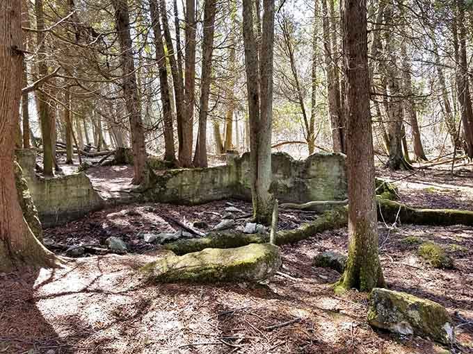 These limestone ruins whisper stories of the past while trees reclaim what was once an industrial site.