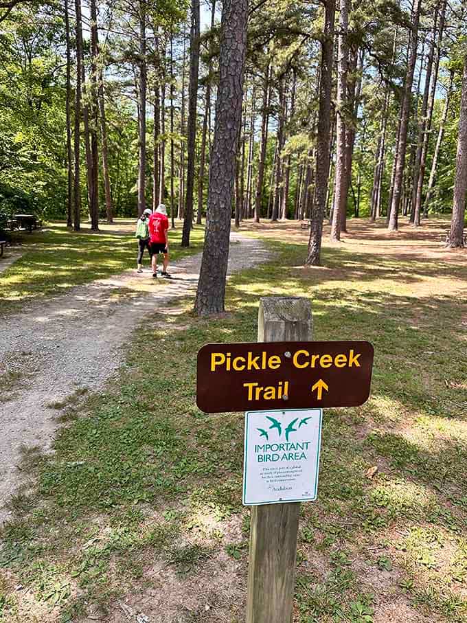 Follow the arrow to Pickle Creek, where the name is quirky but the scenery is seriously stunning.