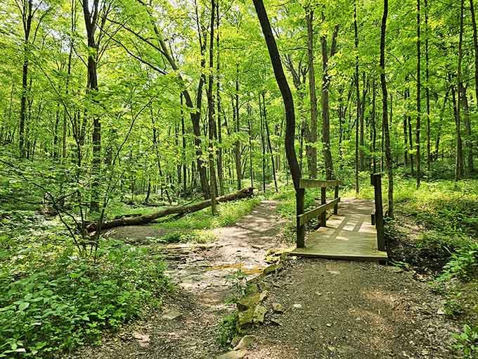 The trail welcomes you with wooden bridges and promises of wonders just around the bend ahead.