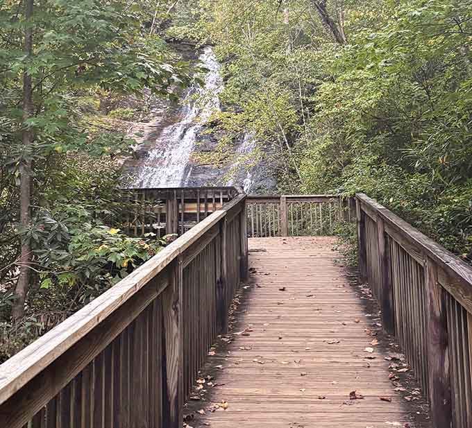 This wooden bridge offers front-row seats to the upper falls without requiring a Ticketmaster account or service fees.