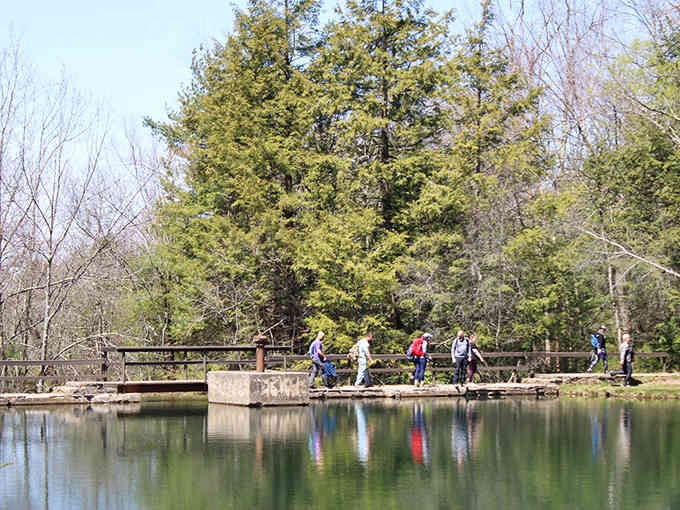 That footbridge over tranquil waters invites contemplation, or at least a moment away from your phone's relentless notifications.