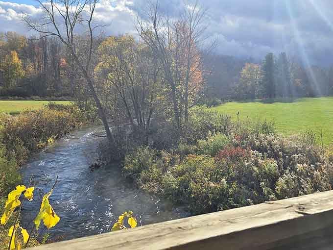 The creek below provides nature's own white noise machine, infinitely better than any app on your phone.