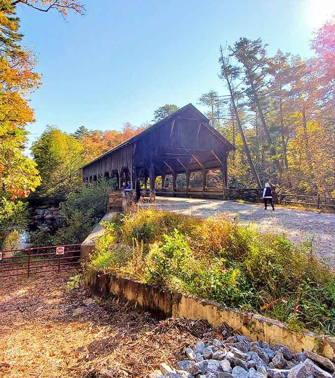 Autumn's grand finale turns the bridge into the star of nature's most spectacular show, no tickets required.
