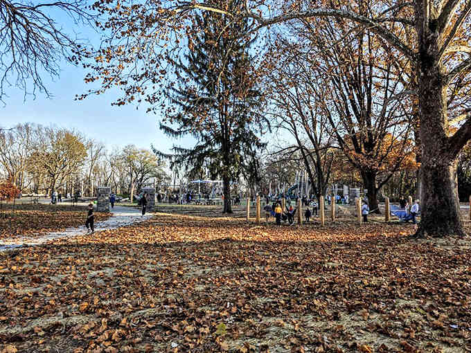Autumn leaves blanket the ground like nature's own confetti, celebrating absolutely nothing except being ridiculously photogenic.