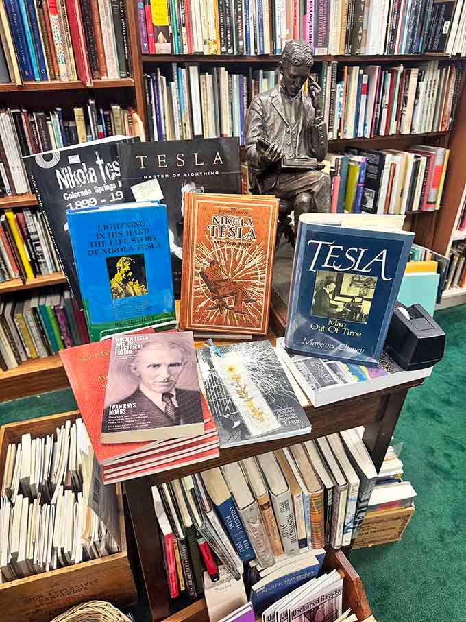 A tribute to the master of lightning himself, complete with statue and volumes celebrating Tesla's genius.