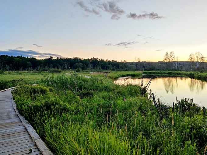 Boardwalks wind through wetlands where nature puts on a show that doesn't require a subscription service.
