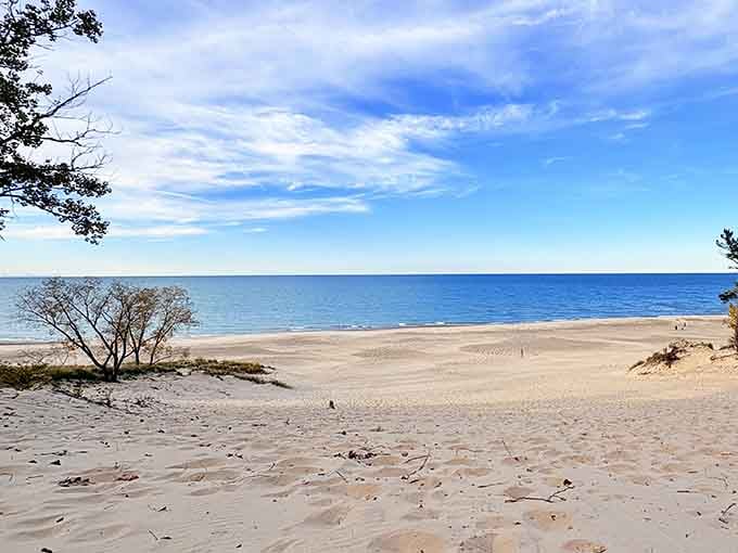 Miles of pristine shoreline where the only decision is which perfect spot to claim.
