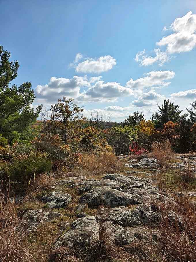 Ancient rock formations wearing their lichen like badges of honor from a billion years well spent.