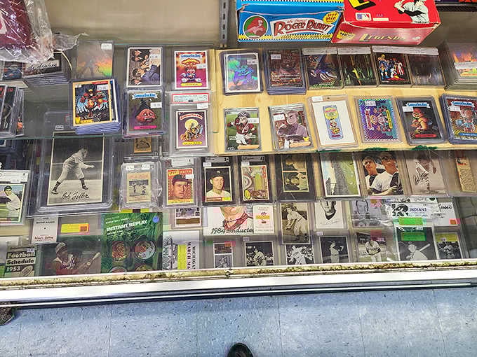 Baseball cards and vintage collectibles rest behind glass like tiny time capsules waiting for the right collector to claim them.
