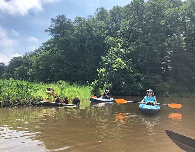 Kayakers glide through calm waters, discovering why paddling beats sitting in traffic any day of the week.