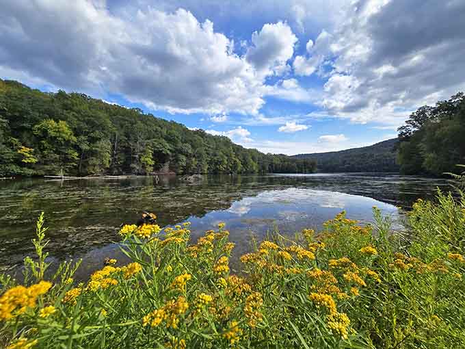 Yellow wildflowers frame Lake Zoar like nature decided to add its own Instagram filter, no app required.