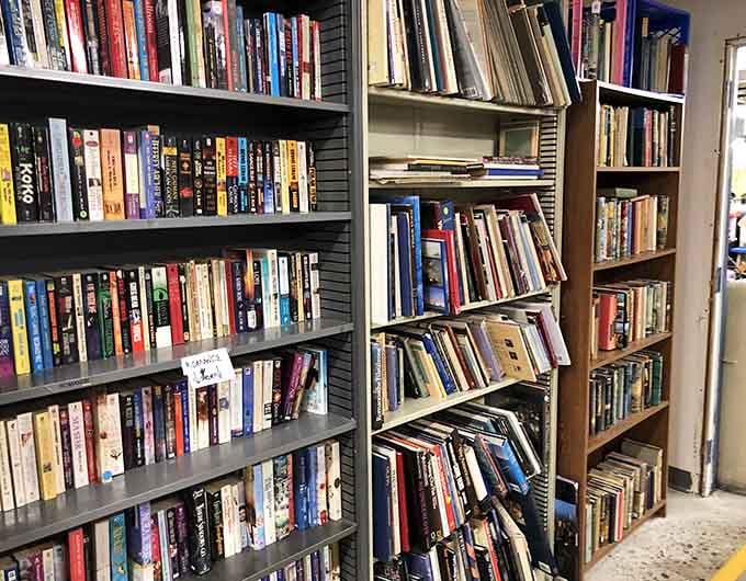 A book lover's dream where hardcovers and paperbacks mingle together, each one a portal to another world.