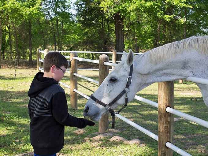 That moment when a kid realizes horses are basically giant puppies who really, really like snacks.