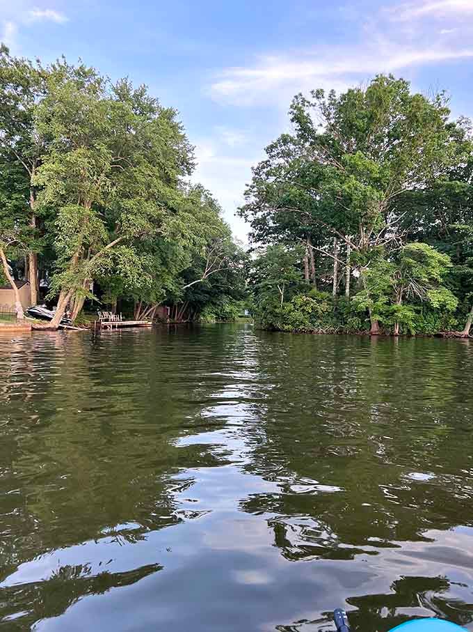 Paddling through these tree-lined coves feels like discovering your own private corner of the world, dock chairs included.