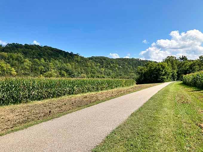Flat, paved, and flanked by cornfields: the bike trail that makes everyone feel like an athlete.