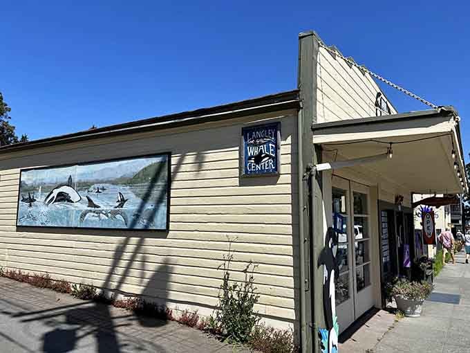 Where else can you learn about orcas while standing close enough to actually spot them swimming by outside?
