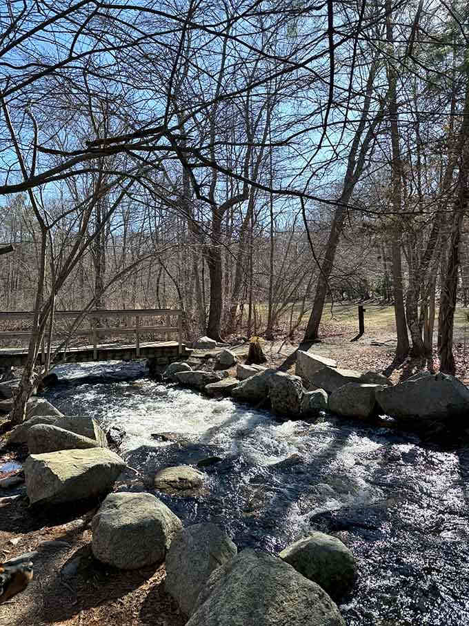 Spring runoff transforms quiet streams into rushing waterways that sound like nature's own symphony orchestra.
