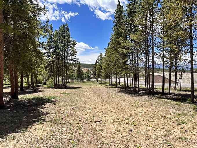 Even the dog park comes with a mountain backdrop, making your pup's Instagram more impressive than most people's.