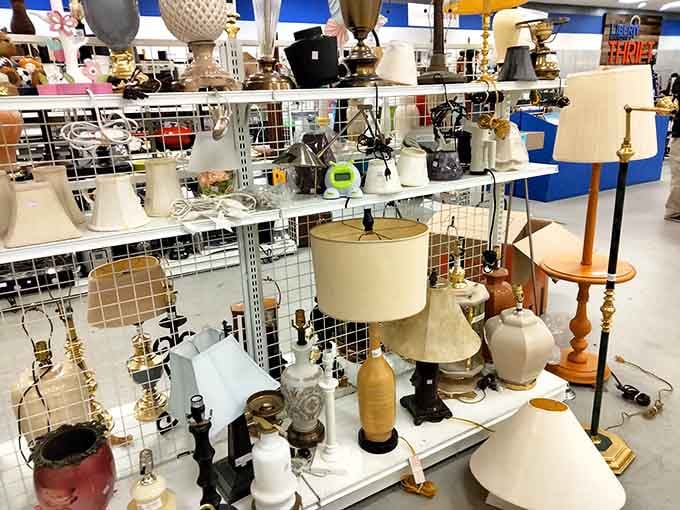 Lamps of every era and style waiting to illuminate your home without darkening your bank account.