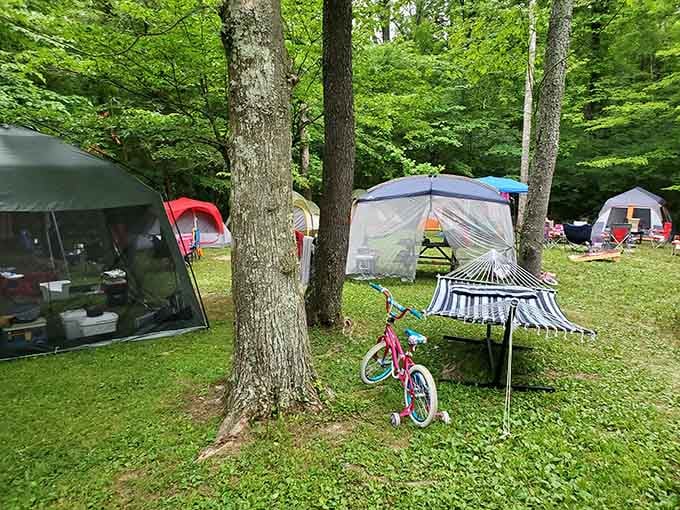 Family camping done right: enough space between sites that you won't hear every detail of neighboring dinner conversations.