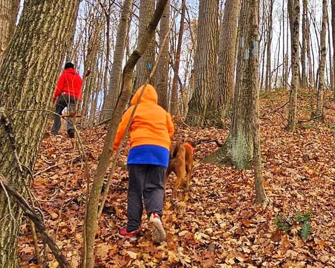 Orange safety gear meets autumn leaves in a color coordination only Mother Nature could orchestrate this perfectly.