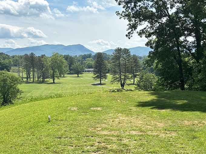 Mountain views frame emerald fairways where your retirement golf game can flourish without country club pretension or prices.