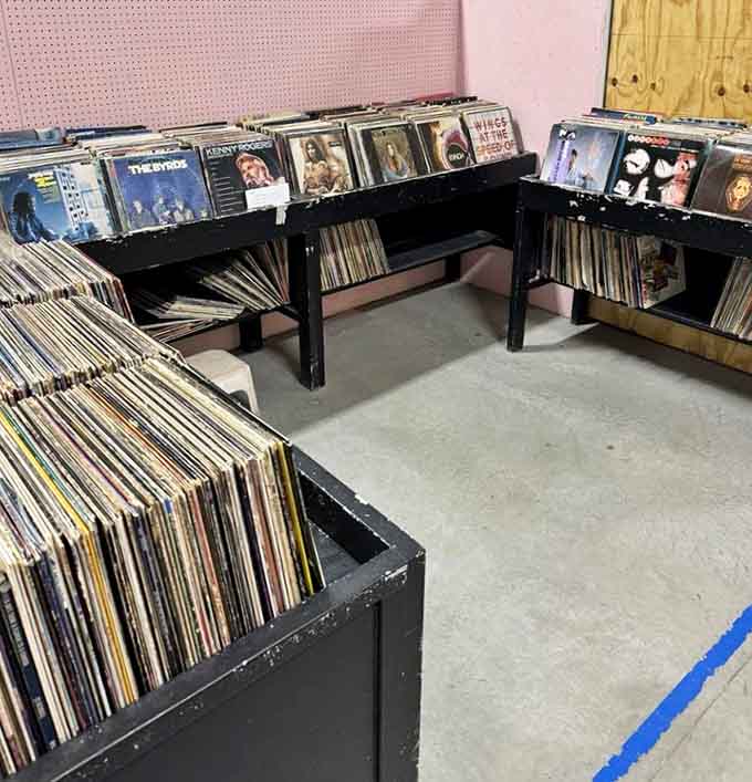 Vinyl lovers, prepare your wallets: this collection spans decades of musical memories worth rediscovering and cherishing.