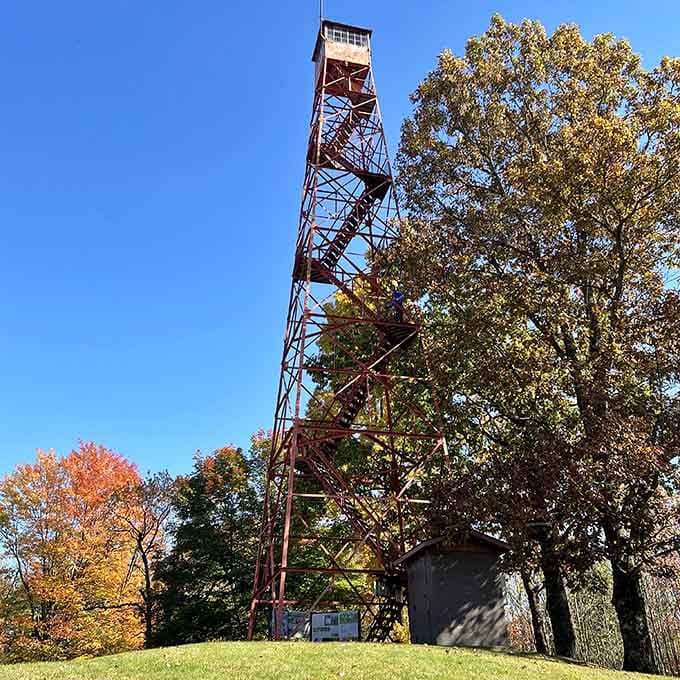 Climb this fire tower for views that'll make you forget you're in the Midwest, not the Rockies.