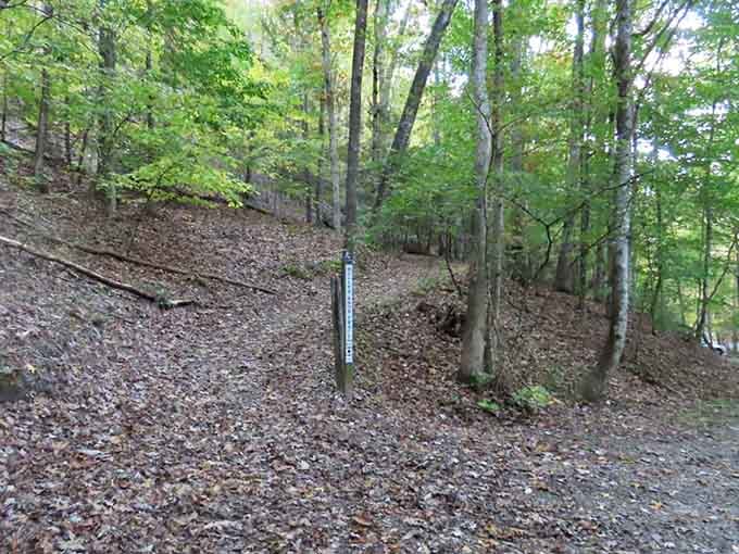 The trailhead where your journey begins, marked and ready to lead you toward views that'll make your camera roll explode.