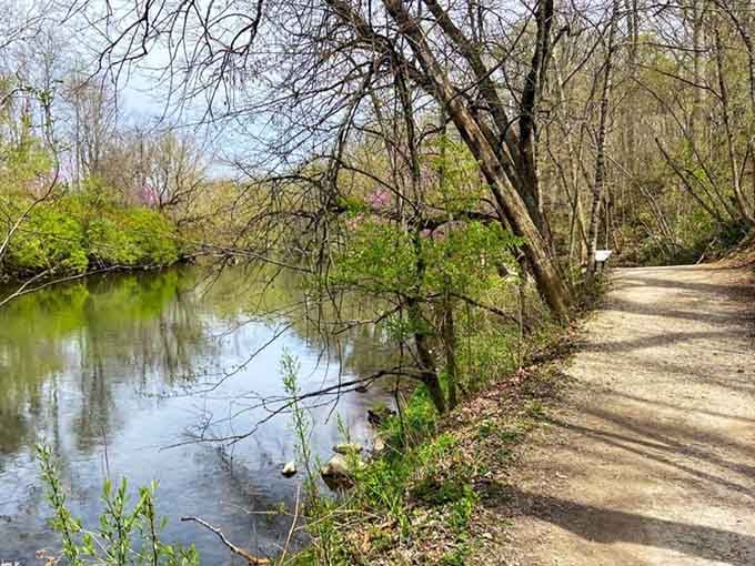 The White River has been flowing past this spot longer than any of us care to calculate.