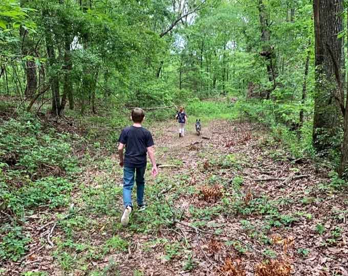 Kids walking ahead on the trail, discovering nature firsthand, beats any screen time hands down every time.