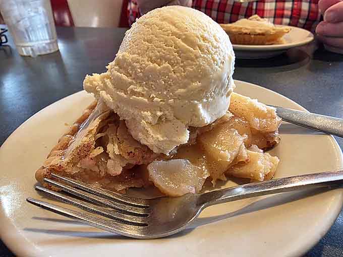 Apple pie &agrave; la mode: because sometimes you need both warm and cold happiness competing for attention on your fork.
