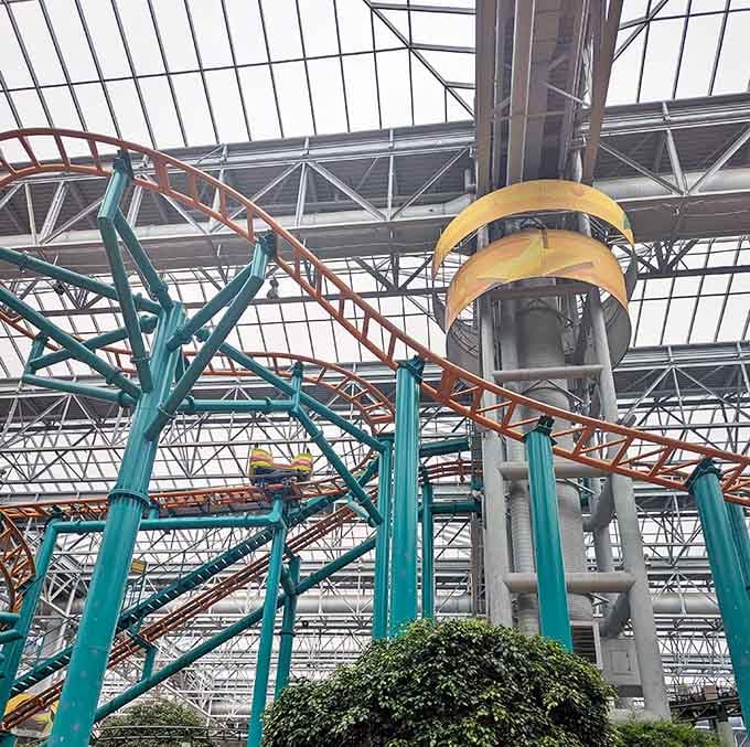 The Fairly Odd Coaster: spinning, twisting, and making you reconsider that food court lunch you just had.