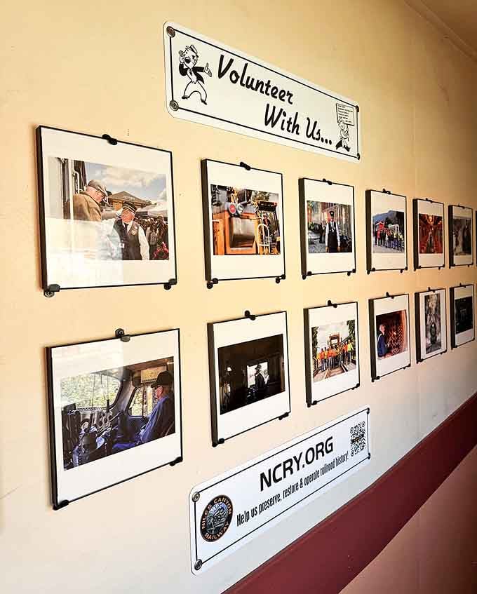 These volunteer appreciation photos tell the real story: passionate people keeping history alive, one restored car at a time.