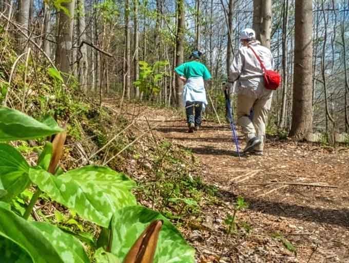 Following the trail markers through the forest, where getting lost would actually be pretty difficult but sounds more adventurous.