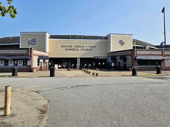Community stadiums prove small towns still gather for Friday night lights and overpriced hot dogs, just like the good old days.