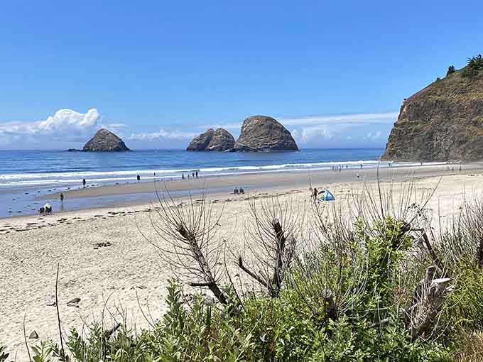 Three Arch Rocks standing offshore like nature's own sculpture garden, minus the pretentious art gallery admission fee.