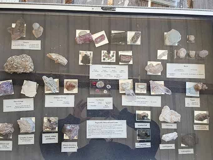 This educational display showcases the rainbow of minerals hiding in these hills, from tourmaline to quartz crystals.